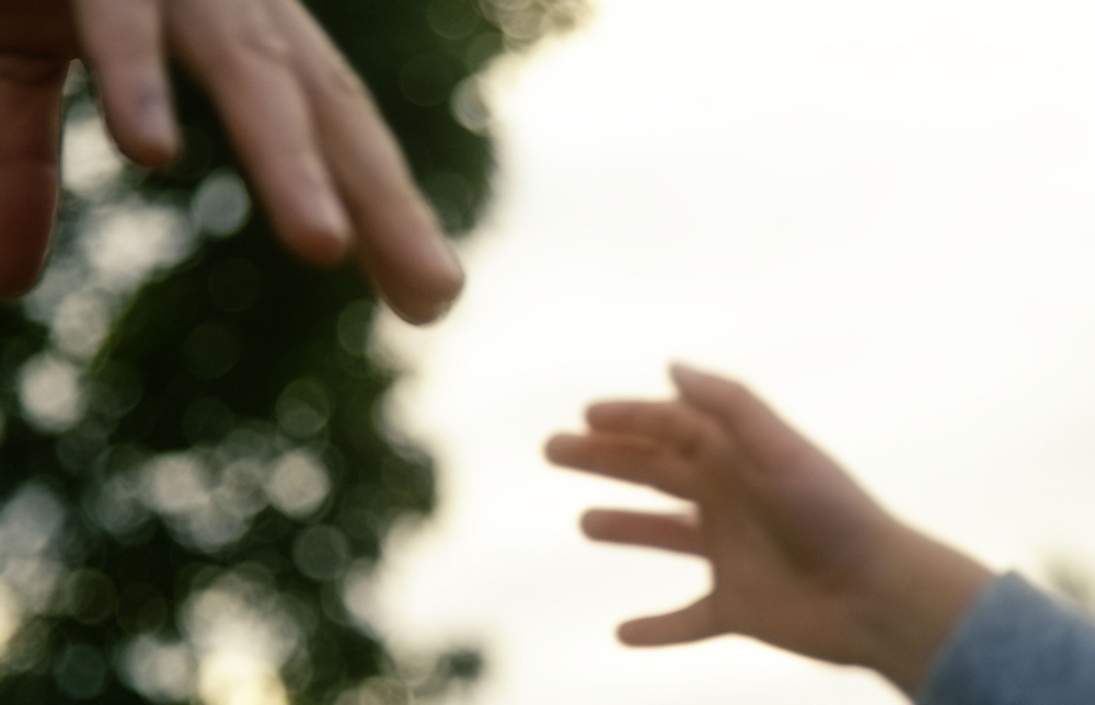 Grab Hold of ‘Forget Me Not’ | The Tyee