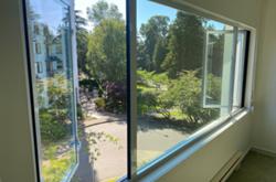 How to Start a Balcony Farm | The Tyee