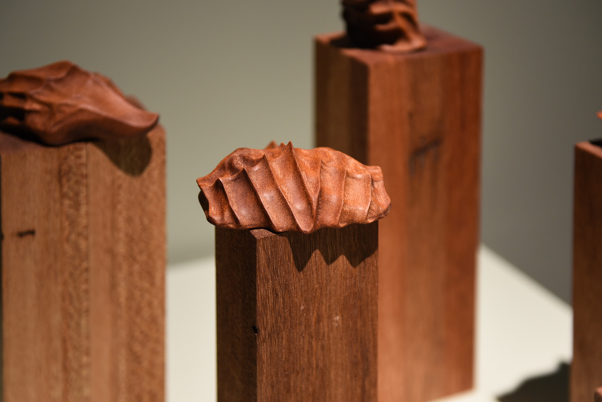 Plundered Jungles, a Vancouver Museum and Reclaimed Joy | The Tyee