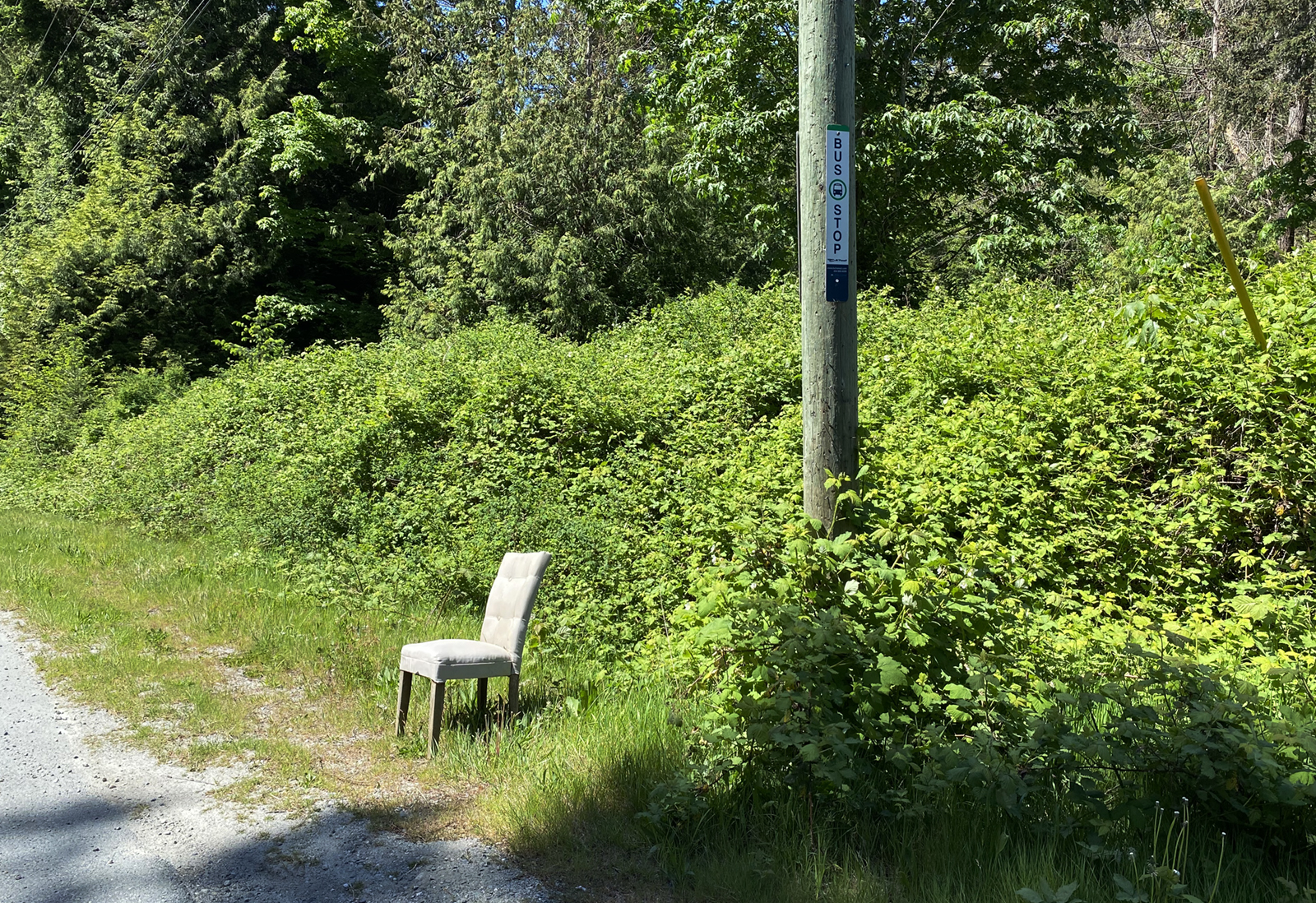 The Case of the Sunshine Coast Bus Stop Chairs | The Tyee