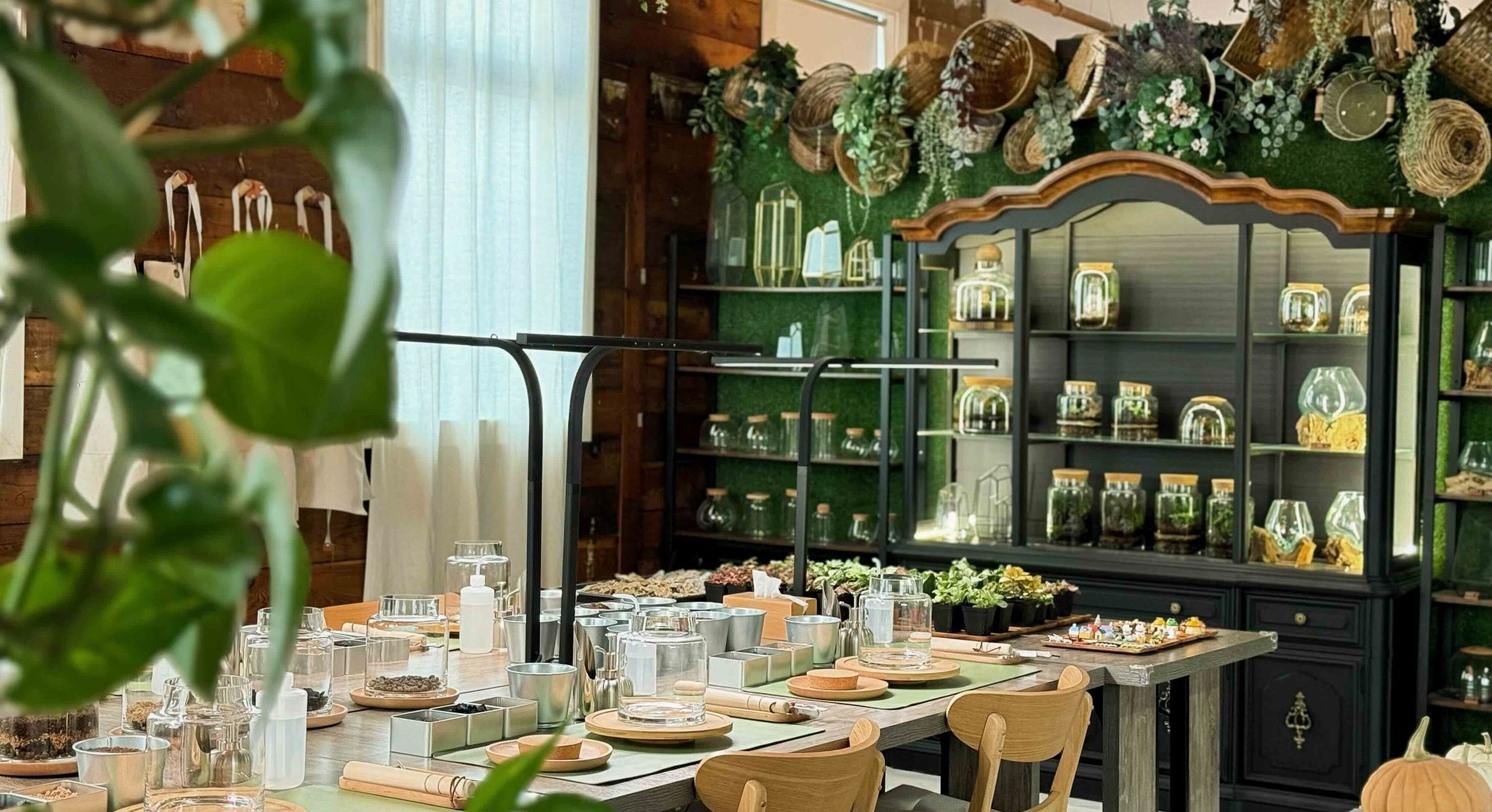 Why Terrariums Are Coming Back | The Tyee