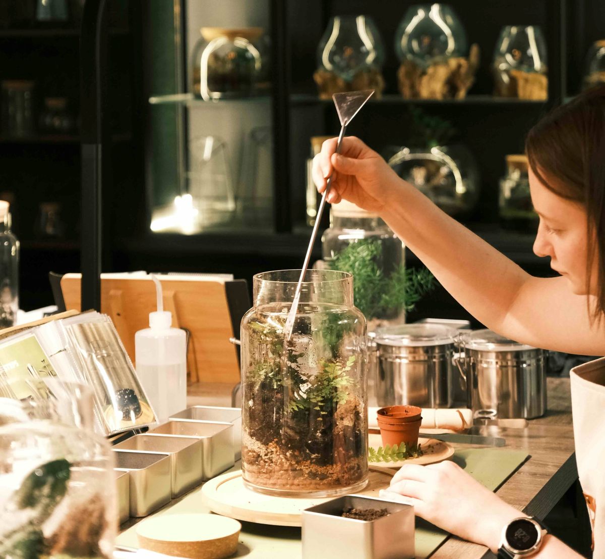 Why Terrariums Are Coming Back | The Tyee