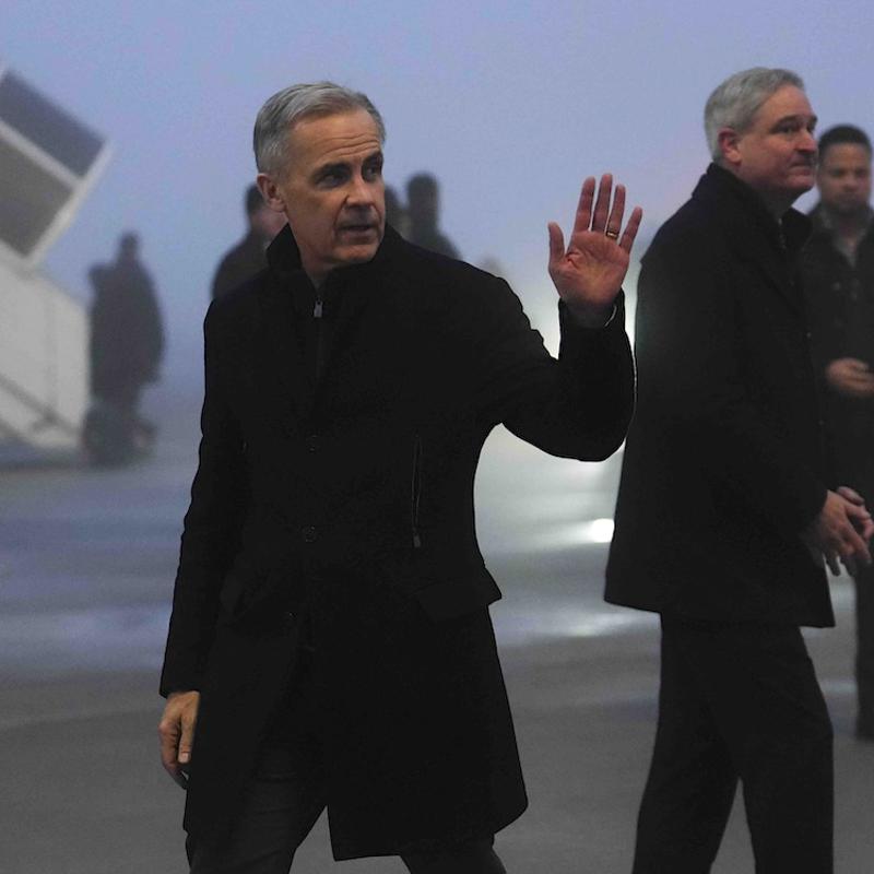 Please Advise! What’s Next for Carney the Rock Star? | The Tyee