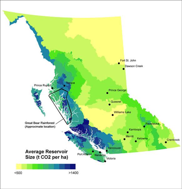 Great Bear Forest to Be Massive Carbon Offset Project | The Tyee