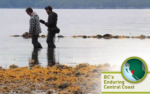 VIDEO: Stone Fish Traps Explained | The Tyee