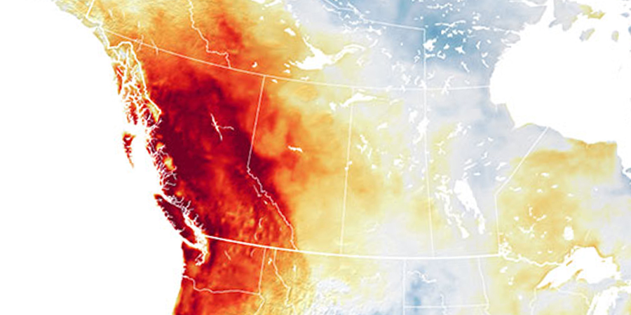 Inside June’s Deadly Heat Dome. And Surviving the Next One | The Tyee