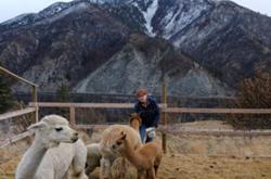 First Nations Life Expectancy Has Plummeted. How to Change That | The Tyee