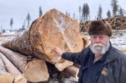 AHS Scandal: How Tight Is Dale McFee with Sam Mraiche? | The Tyee