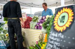 Fact Checking Patrick Moore, Climate Skeptic | The Tyee