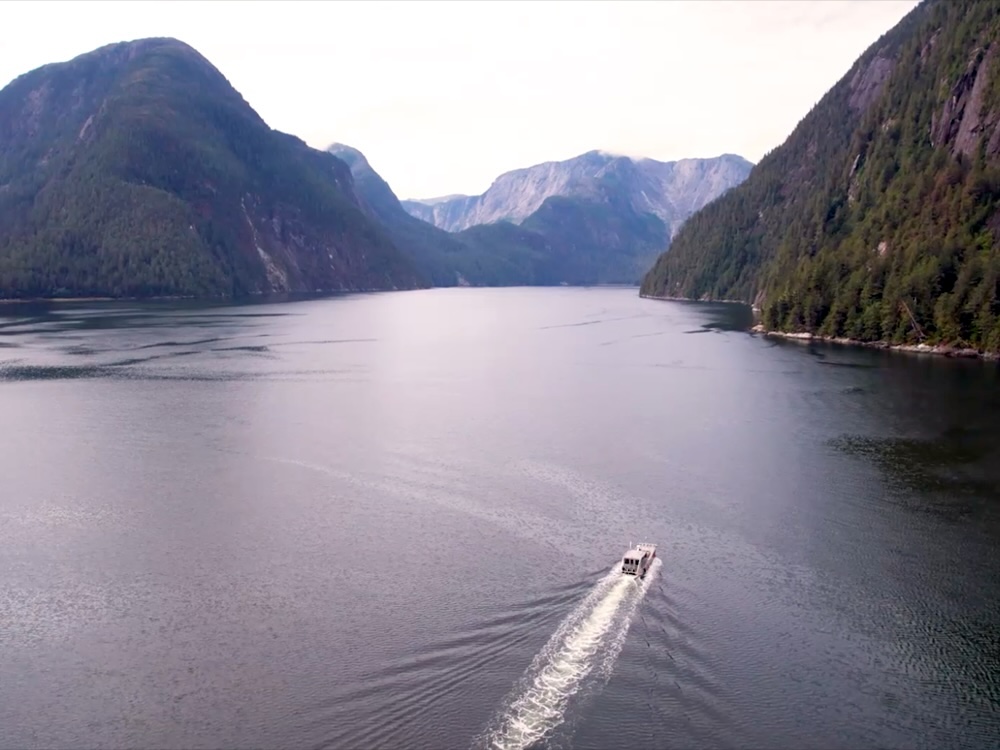 Welcome to the Great Bear Sea | The Tyee