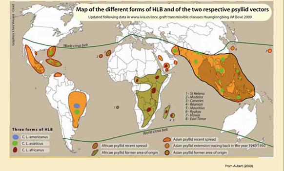 The Real Reasons for the Great Lime Crisis | The Tyee