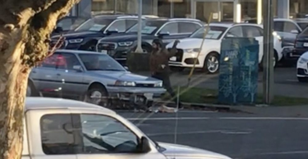 Please Advise! Public Feces Flinging Shows BC’s Civility in the Dumps ...