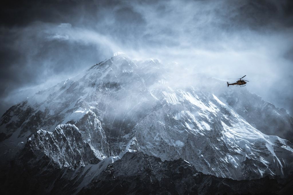 Why We Fight: VIFF Highlights the Struggle for a Better World | The Tyee