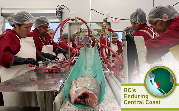 VIDEO: Bella Bella's Revitalized Fish Plant | The Tyee