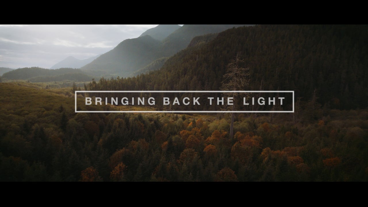 'Bring Back the Light' Illuminates Forest Regrowth | The Tyee