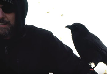 The Story of East Van’s Community Crow in ‘Canuck and I’ | The Tyee