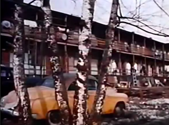 Blight! A Horror Movie | The Tyee